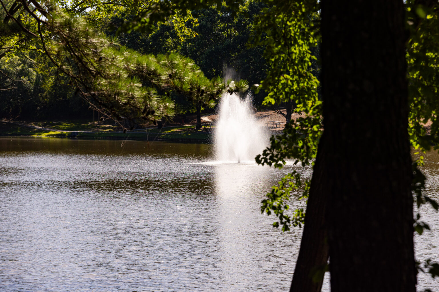 Things to Do - Johns Creek CVB